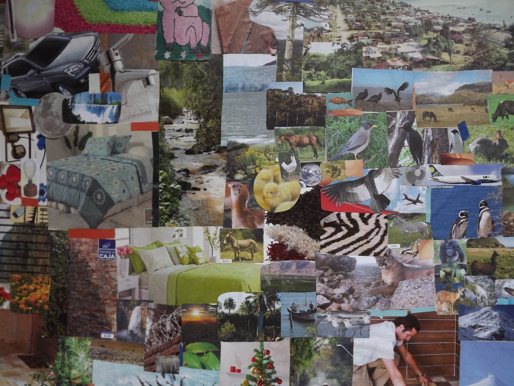 Collage el Diseño en la Naturaleza 7° 2012 ~ Plástica en Coyhaique